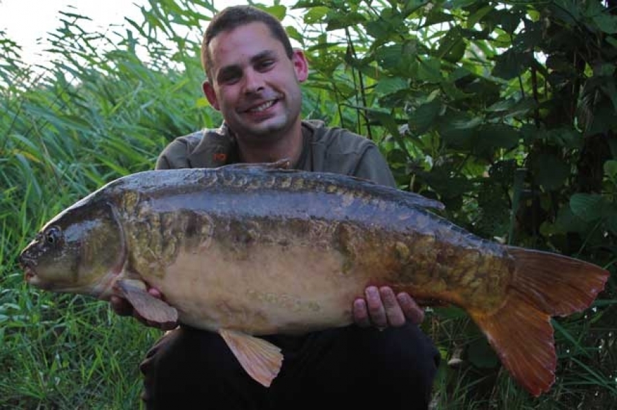 Dutch Acquisition | Total Carp