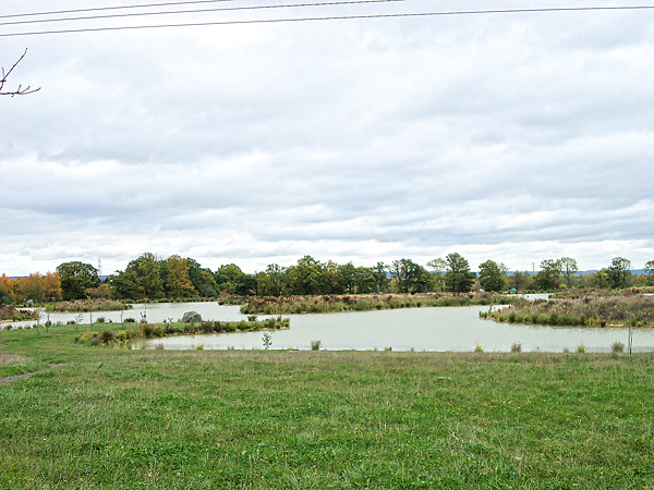 Orchard Place Farm, Lake 7 | Kent | Total Carp