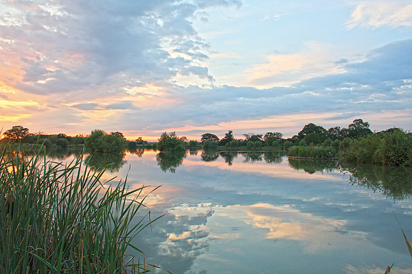 Merrington Carp Fishery | North Shropshire | Total Carp