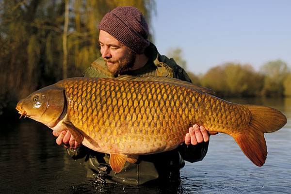 The Claw | Total Carp