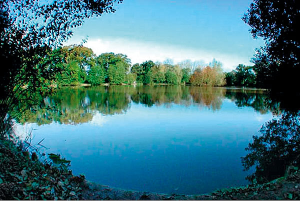 Main Lake, Creedy Lakes | Devon | Total Carp