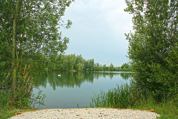 Hunts Corner Lake, Linear Fisheries | Oxfordshire | Total Carp