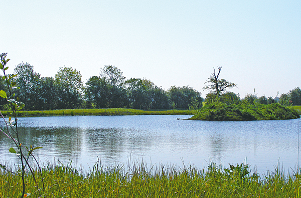 Fox Lake, Coole Acres Fishery | Cheshire | Total Carp