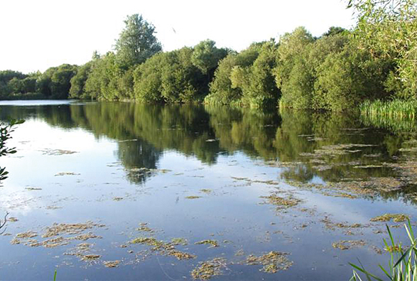Elsons Lake, Stanwick Lakes Fisheries | Northampton | Total Carp