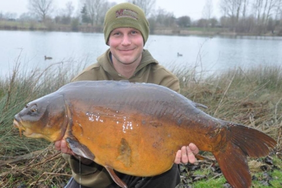 Big Linear Hit | Total Carp