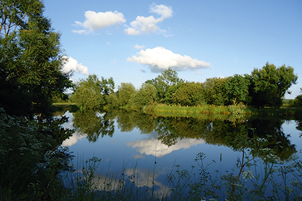 Snail’s Lake, Diggerlakes, Devon | Total Carp