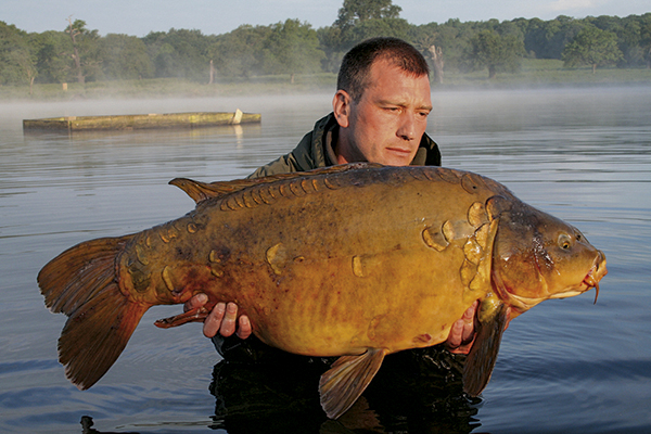 ICON | The Royal Forty | Total Carp