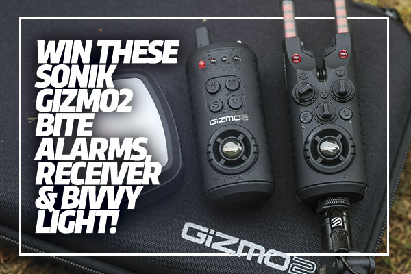 Win Sonik Gizmo2 Bite Alarms and Receiver | Total Carp