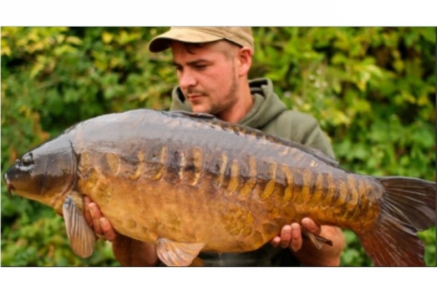 Tactical Change | Total Carp