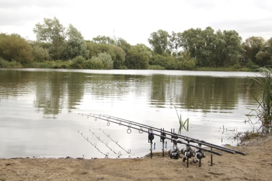 A12 Cuton Lakes | Total Carp