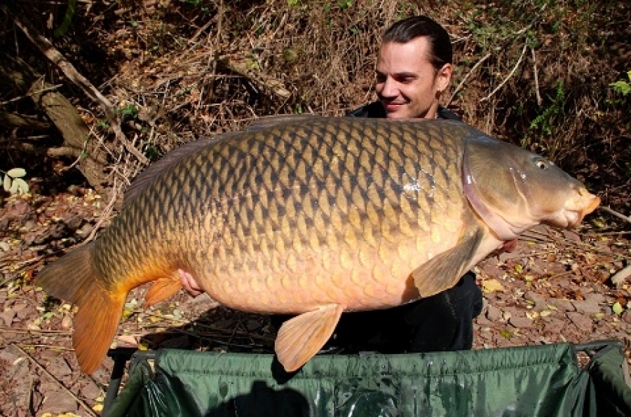 It's A Record | Total Carp