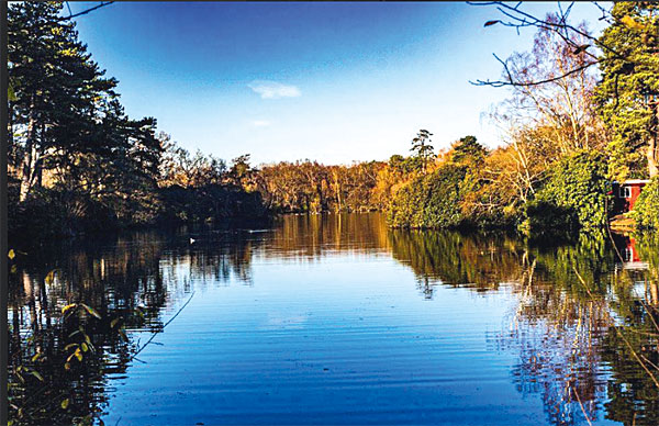 White Swan Lake, Dinton Pastures | Wokingham | Total Carp
