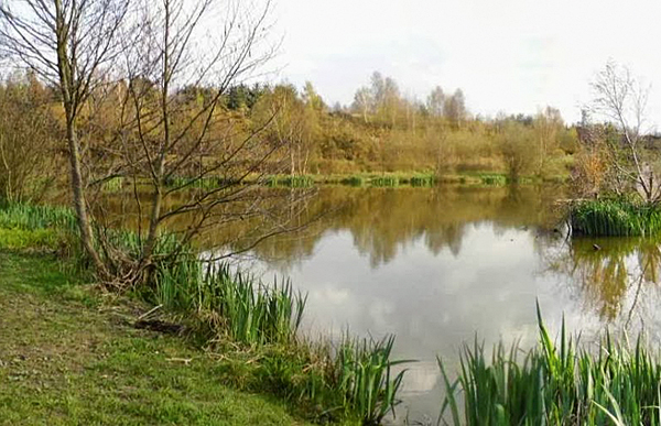 Lake 7, Frant Lakes | Sussex | Total Carp