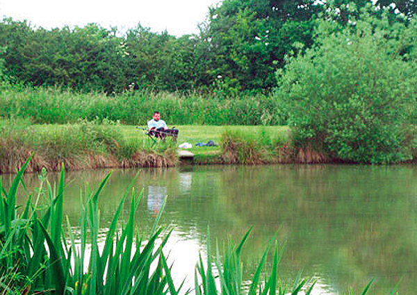 Wood Lake, Puddledock Farm Fishery, Upminster | Essex | Total Carp
