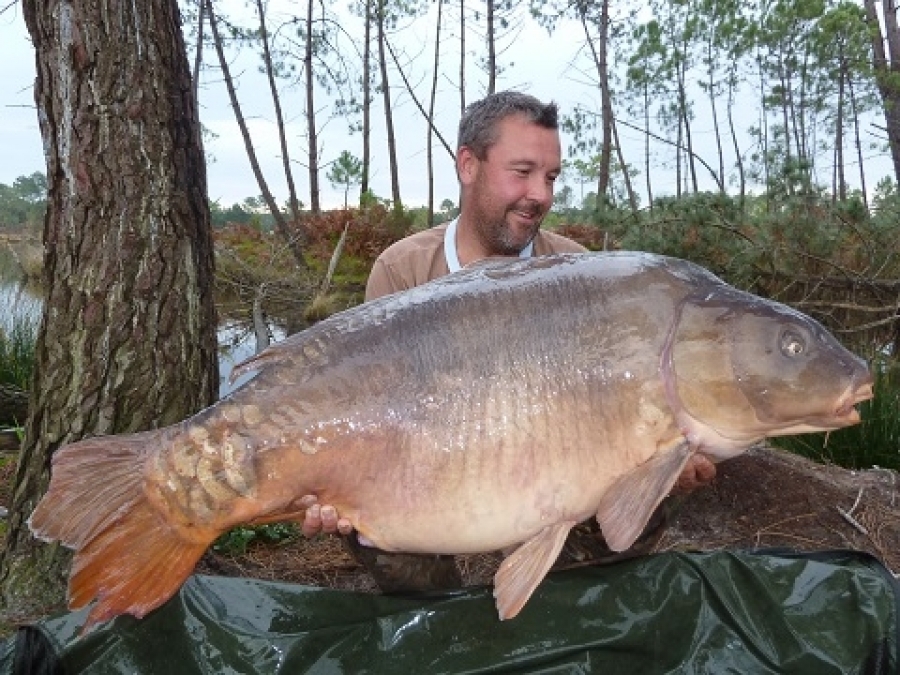 Solar Power | Total Carp