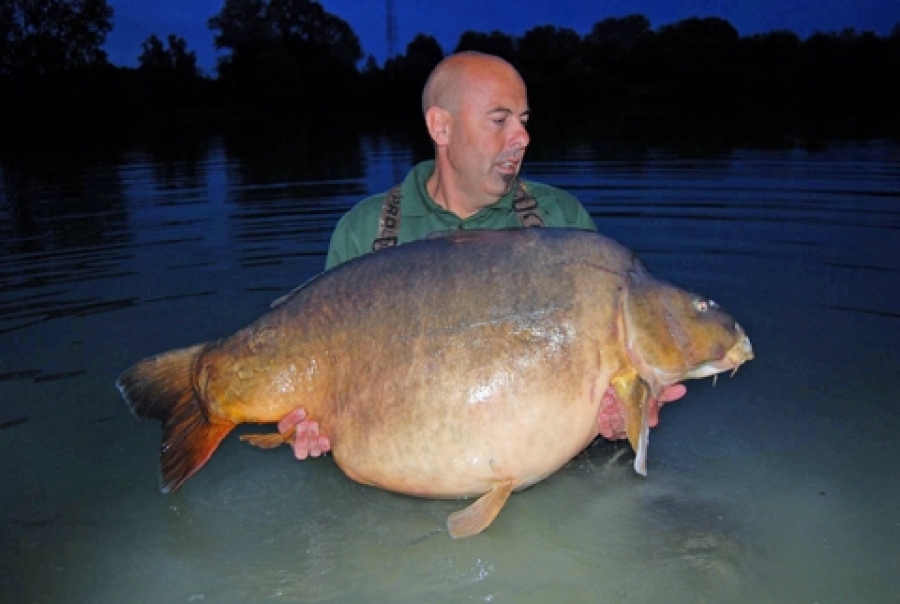 The Brown Beaten | Total Carp