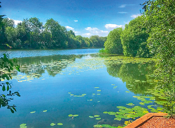 Rainbow Lake, Burstwick | East Yorkshire | Total Carp