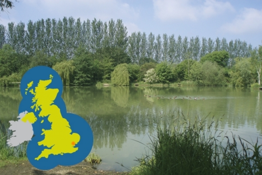 Weybread Fishery | Total Carp