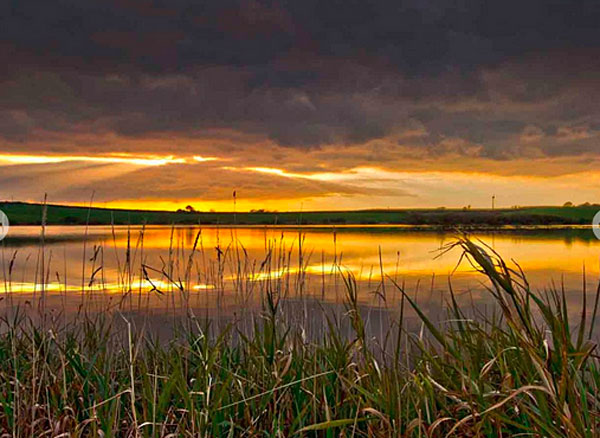 Upper Tamar Lake | Cornwall | Total Carp
