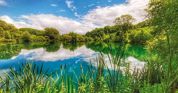 Venue files - Bells Mill | Total Carp