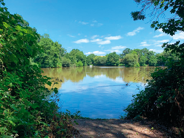Creedy Lakes | Devon | Total Carp
