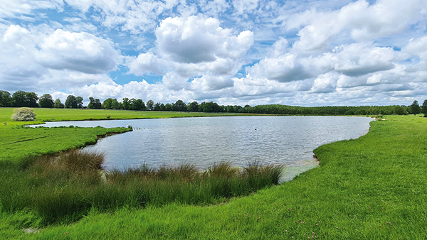 Towcester Lakes | Total Carp