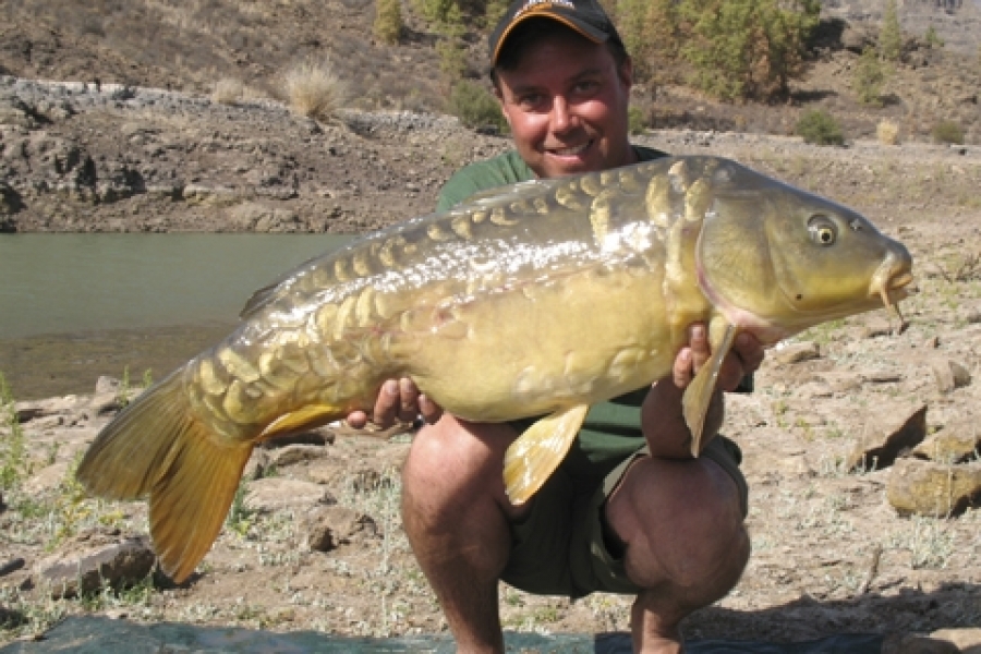 Sun, Sea And Carp | Total Carp