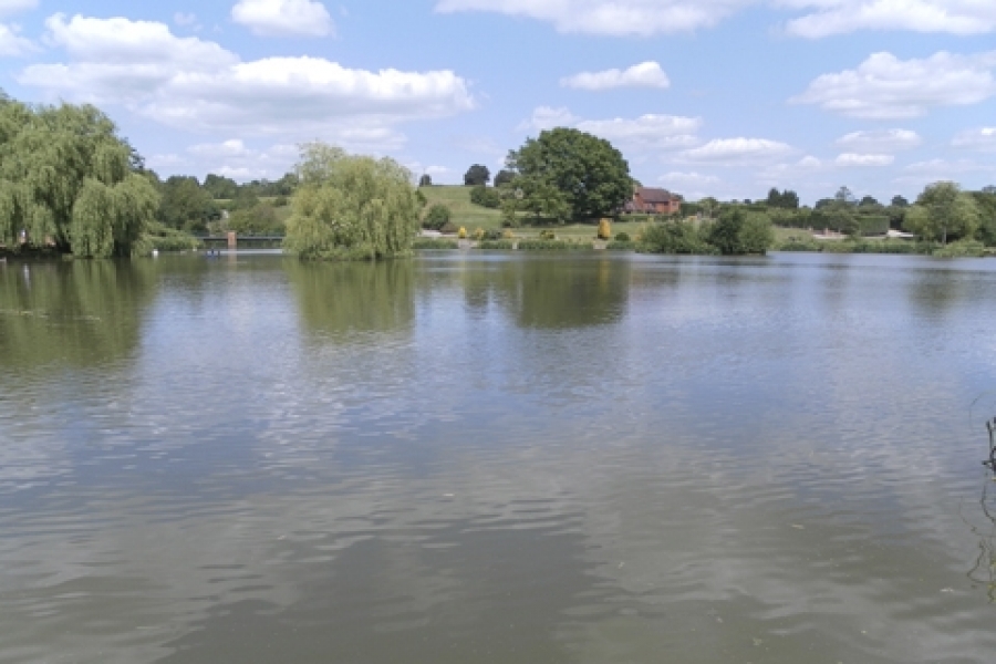 Hawkhurst Fish Farm | Total Carp