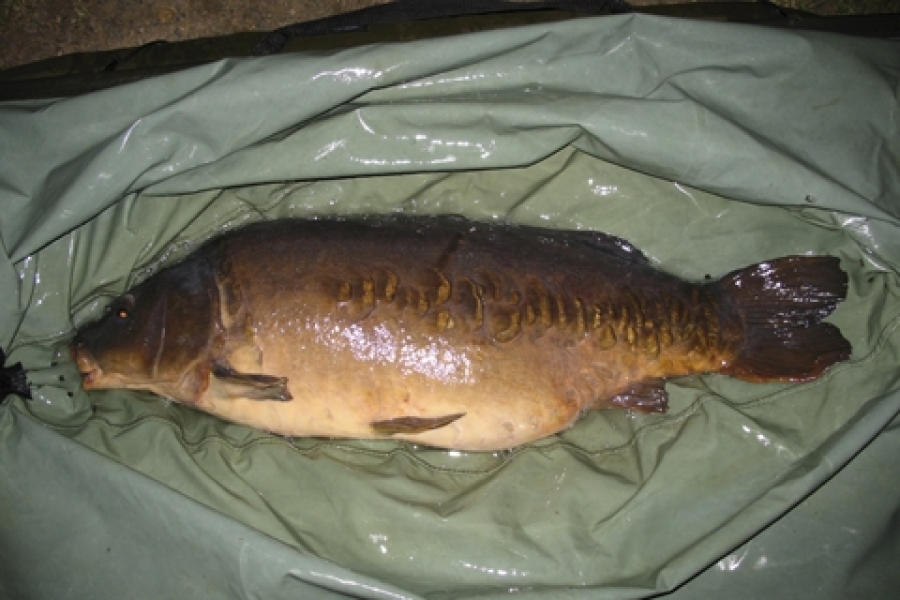 First Signs Of Spring | Total Carp