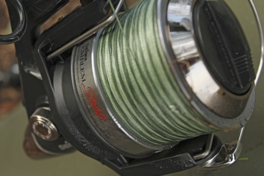 Daiwa Emblem Spod Reel | Total Carp