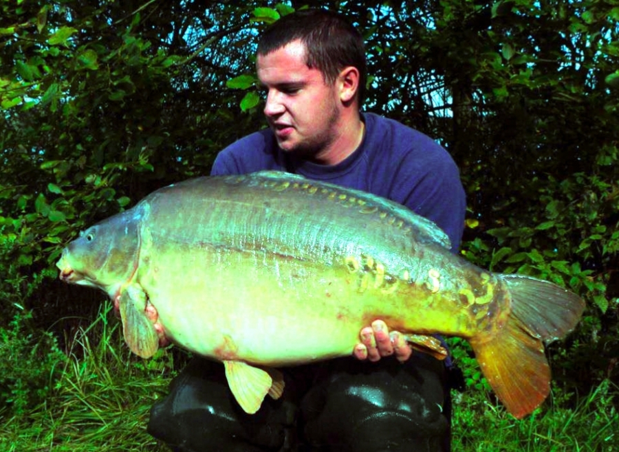 Massive Linear Carp Haul | Total Carp