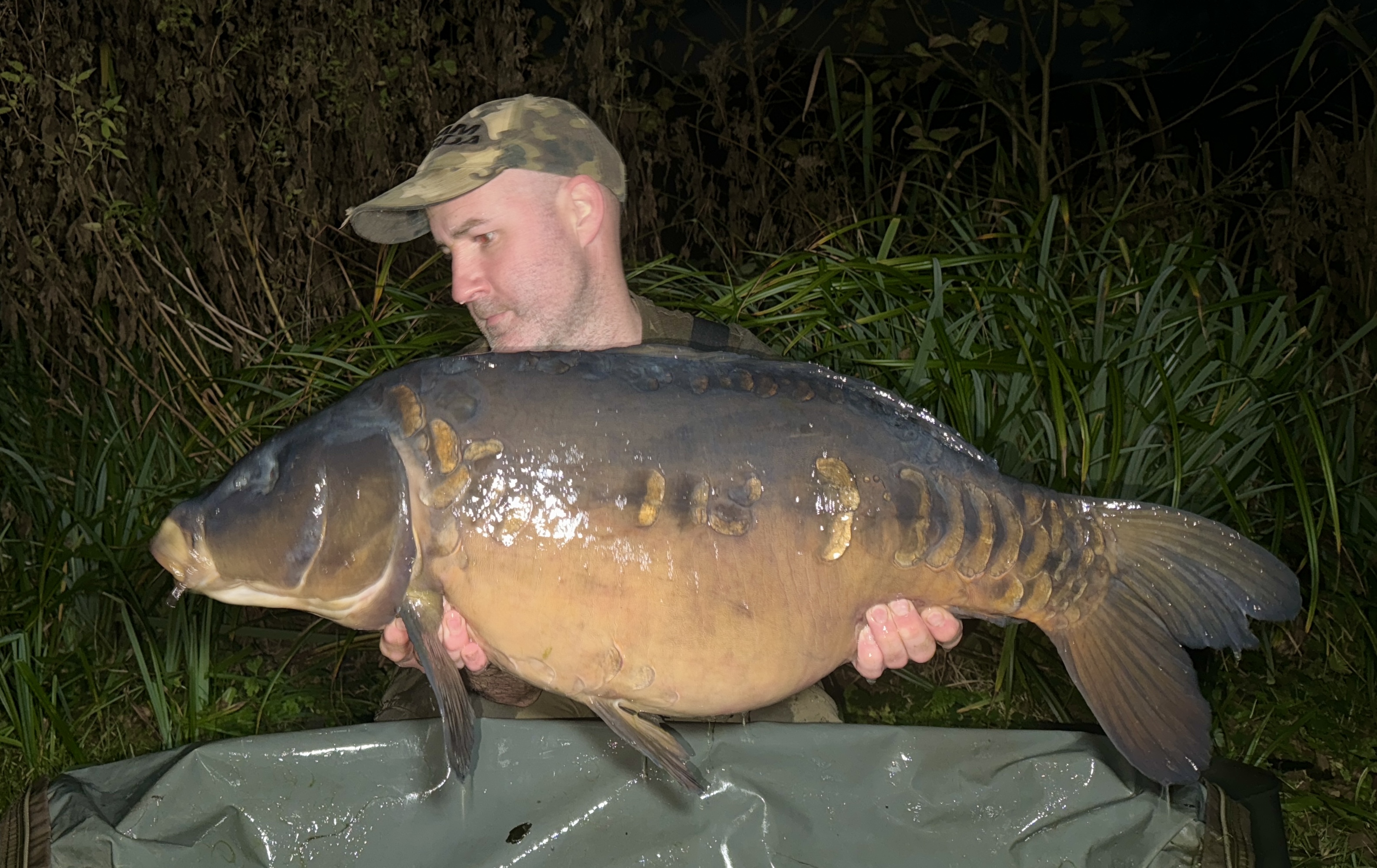 Wang eye | Total Carp