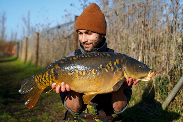 7 Steps to successful winter! | Total Carp
